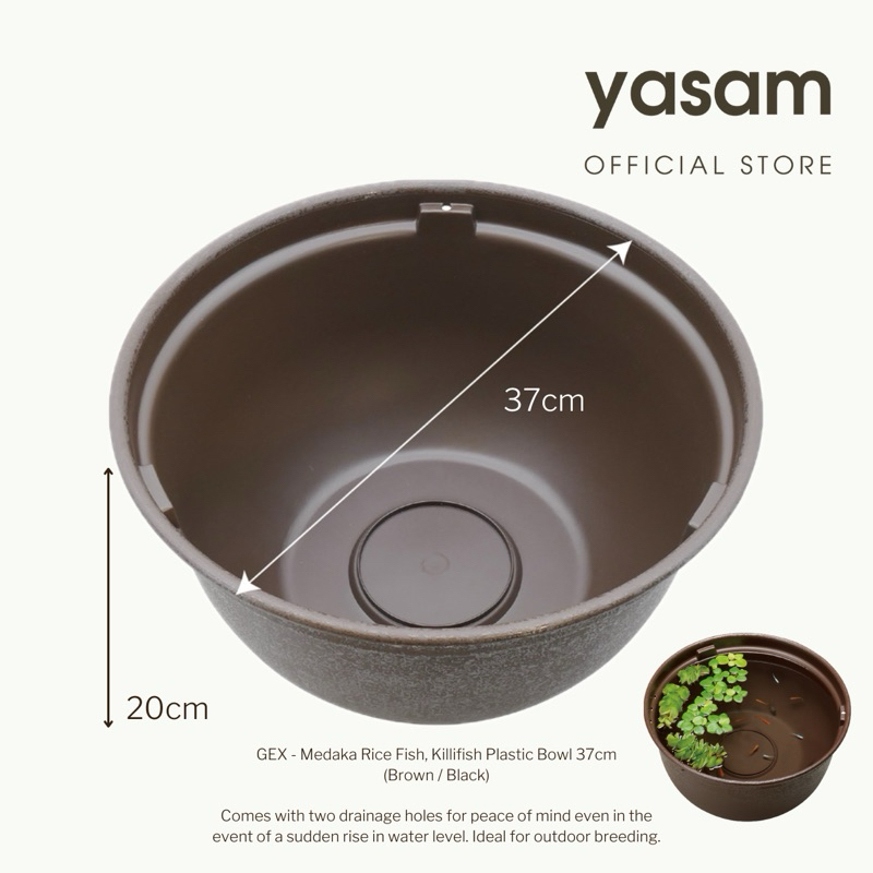 GEX - Medaka Rice Fish, Killifish Plastic Bowl 37cm - Brown / Black ...