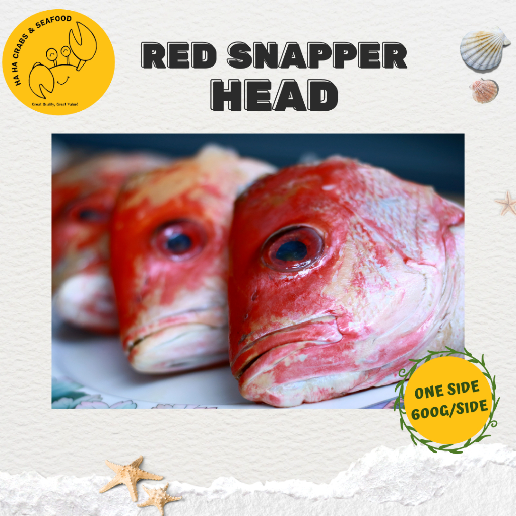 Red Snapper Fish Head 红鸡鱼头 (One Side, Pre-cut 600g/pc) | Shopee Singapore