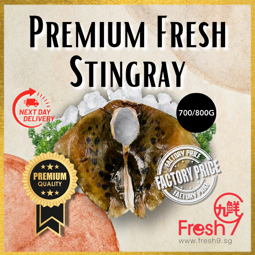 [Fresh9] Premium Fresh Stingray (700/800g) BBQ Fresh Fish Seafood ...