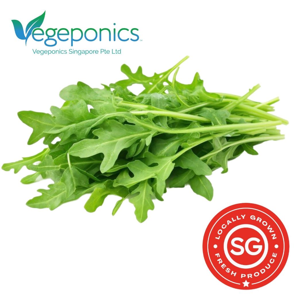 Pesticide-Free Rocket Arugula 芝麻菜 60g | Shopee Singapore