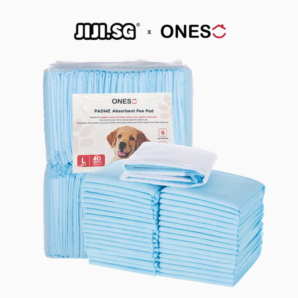 (JIJI.SG) PADME Absorbent Pee Pad/ Absorbent Waterproof Dog and Puppy ...