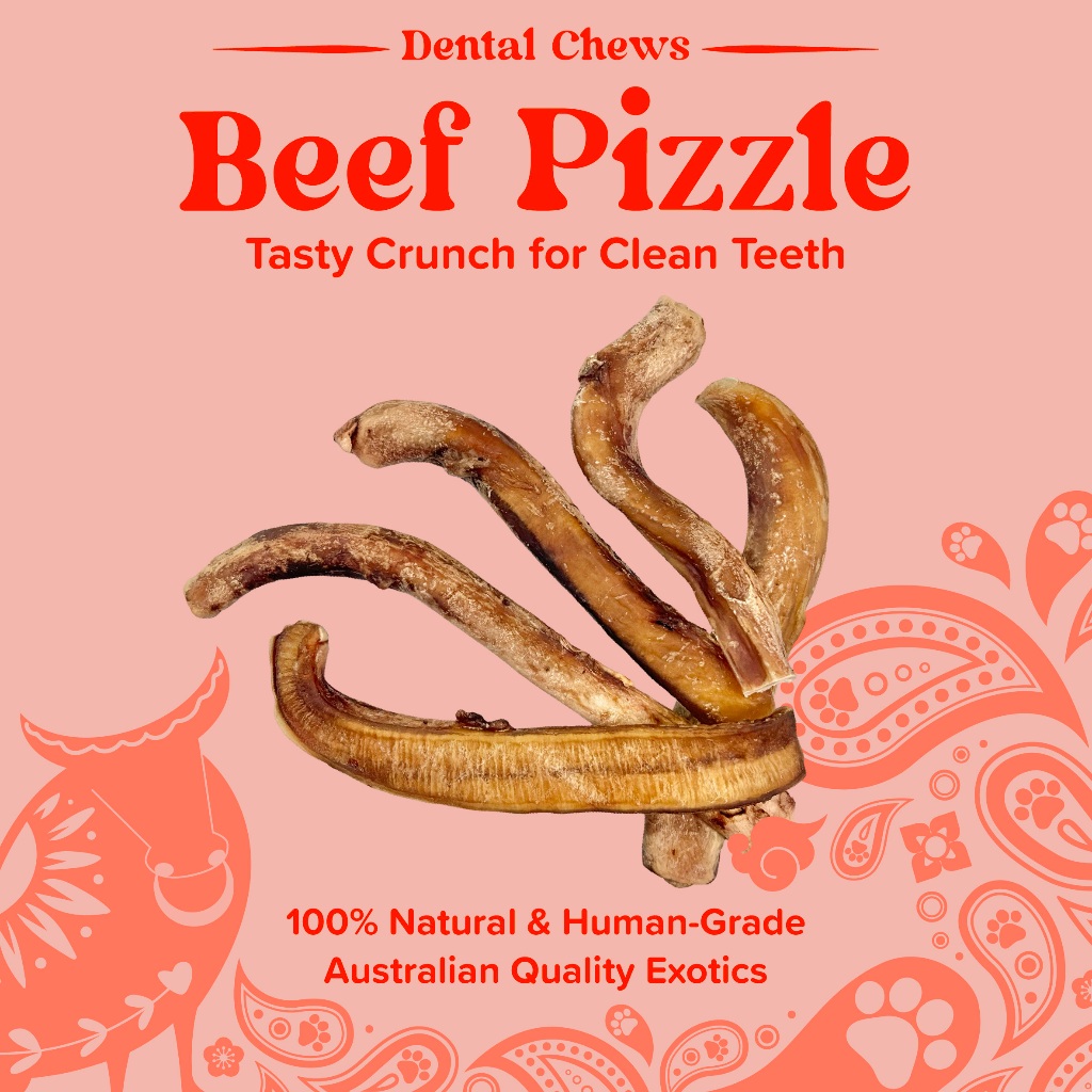 Furmily Odourless Beef Pizzle / Bully Stick Chews [Dog Treats] 100% ...