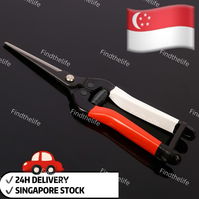 [SG STOCK] Stainless Steel Florist Scissors/ Gardening Fruit Tree ...