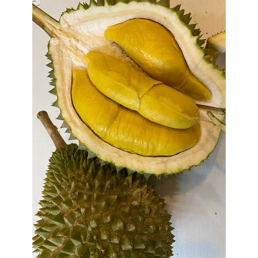 Durian Combo (MSW & Golden Phoenix) | Shopee Singapore