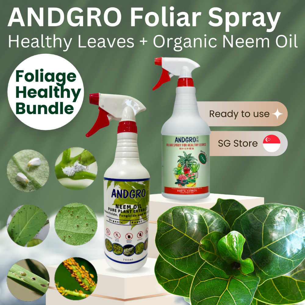 ANDGRO Foliage Healthy Bundle: Foliar Spray for Healthy Leaves ...