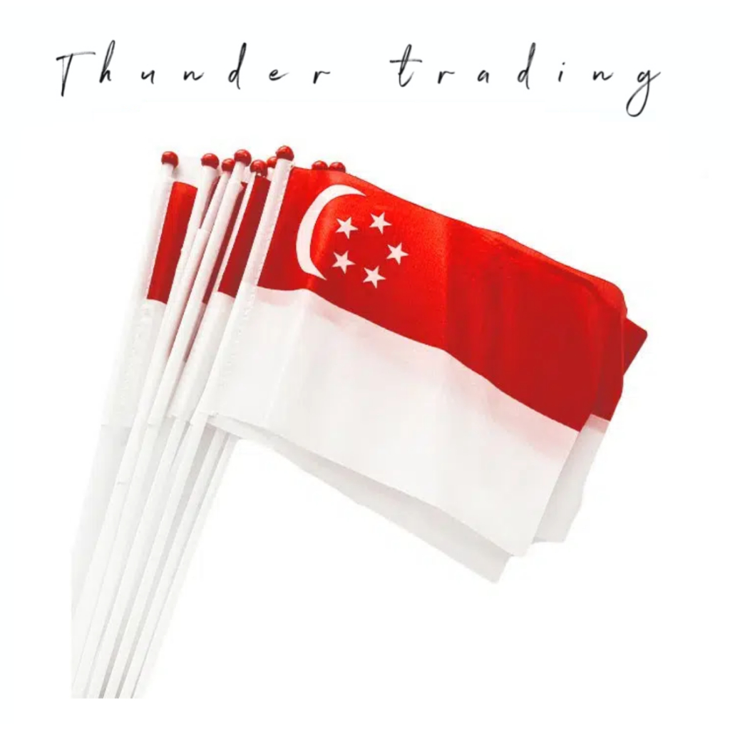 Singapore NDP 10 pcs Handheld Singapore Flag | Shopee Singapore