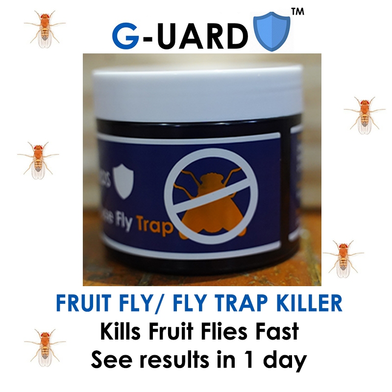 Fruit fly fruit flies trap killer by G-UARD - Ultimate Fly Poison Trap ...