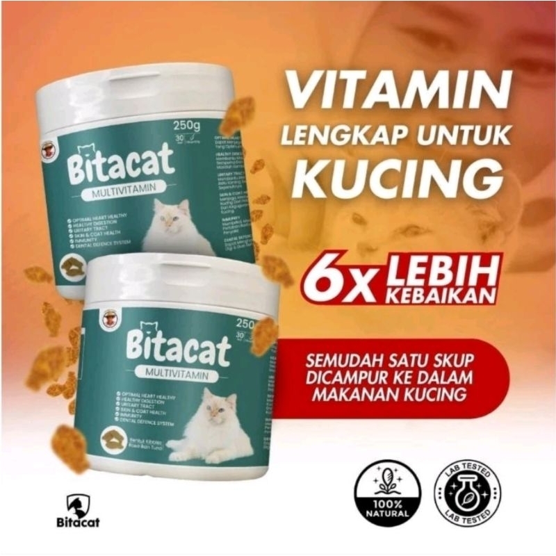 Local Seller SG- BITACAT VITAMIN KUCING | Shopee Singapore