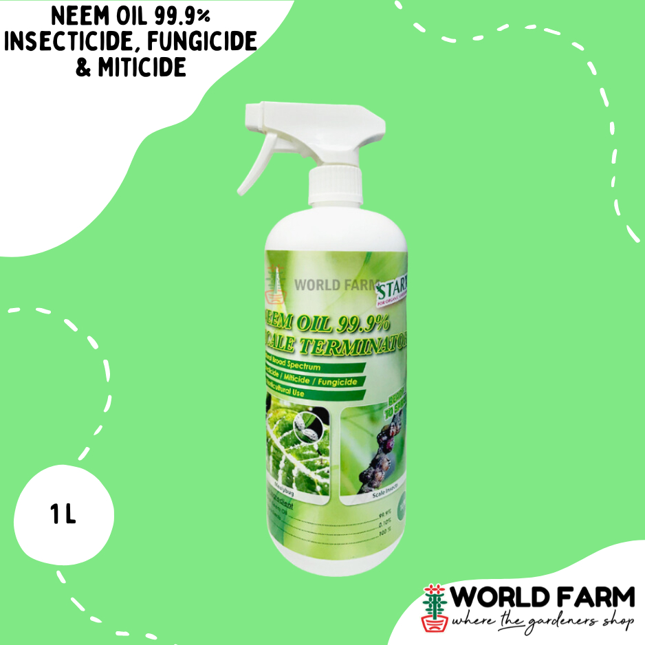 Neem Oil 99.9% Insecticide, Fungicide & Miticide , Ready to Spray (1L ...