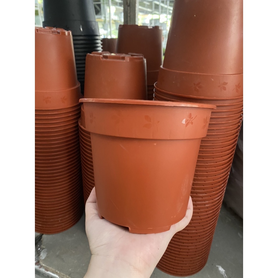 Plastic Pot No 150(Bundle of 6) | Shopee Singapore
