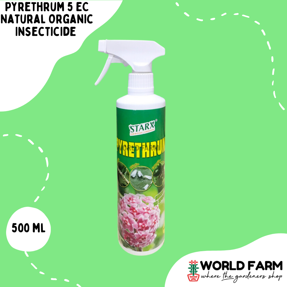 Pyrethrum 5 EC Natural Organic Insecticide 500ml | Shopee Singapore