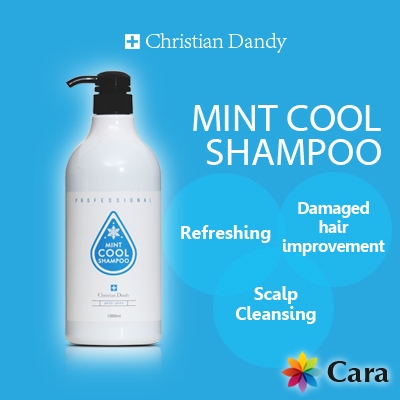 Christian Dandy MINT COOL SHAMPOO 1000ml | Shopee Singapore