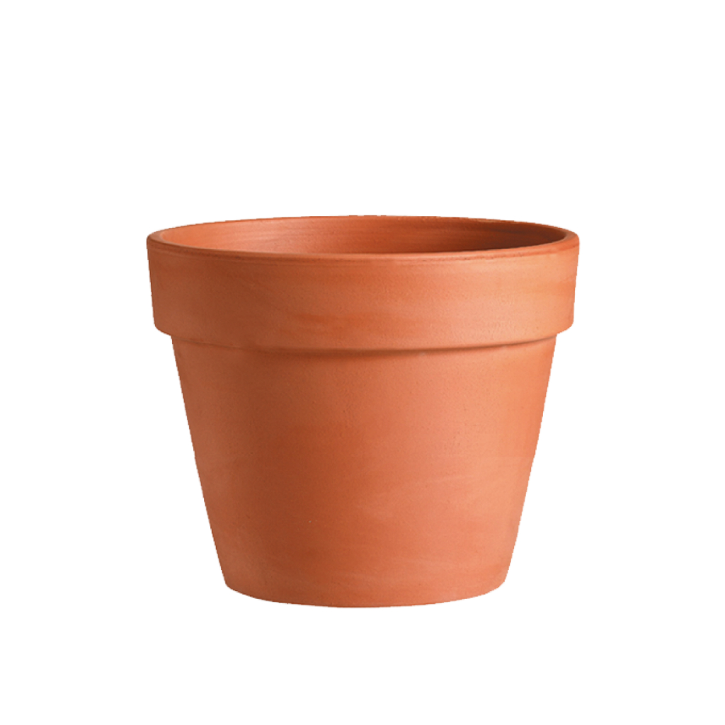 Albenga 15cm Terracotta Cache Pot Deroma (No Hole) | Shopee Singapore