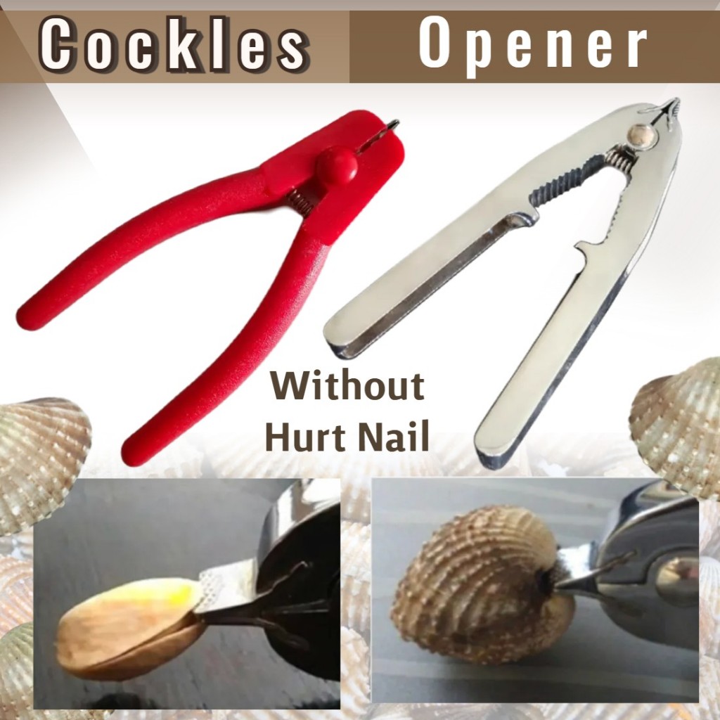 Opener Cockles Clam Opener Without Hurt Nail Shell Blood Si Hum Seafood ...
