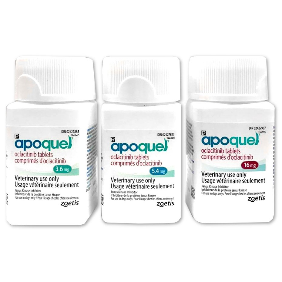 Zoetis Apoquel Tablet chewable for Dogs 3.6mg 5.4mg 16mg | Shopee Singapore