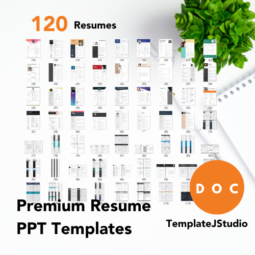 120 Professional corporate resume templates CV template Executive CV ...
