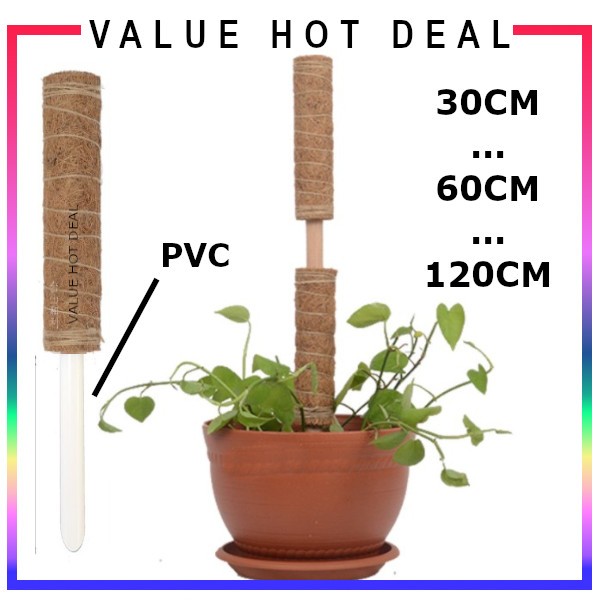 COCO SUPPORT POLE FOR CLIMBING PLANT EXTENSION 30CM TO 120CM | Shopee ...