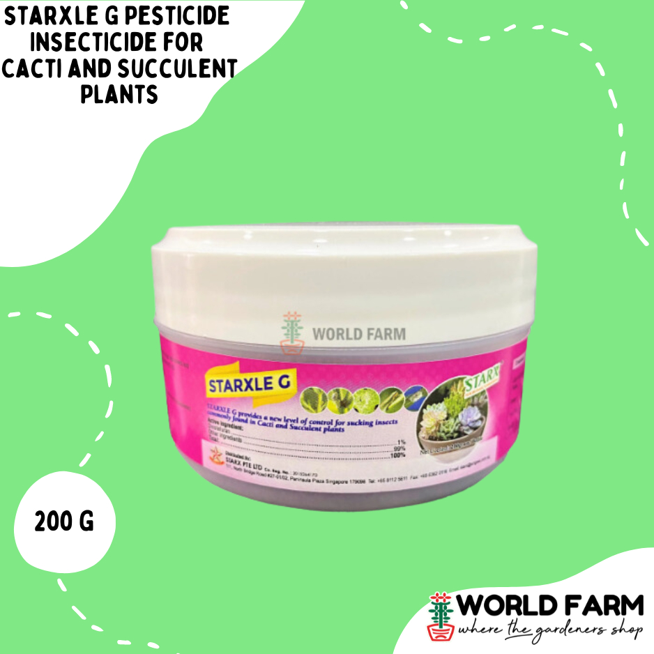 Starxle G Pesticide / Insecticide for Cacti and Succulent Plants ...