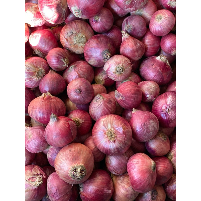 Red onions 1kg (India) (handpicked) | Shopee Singapore