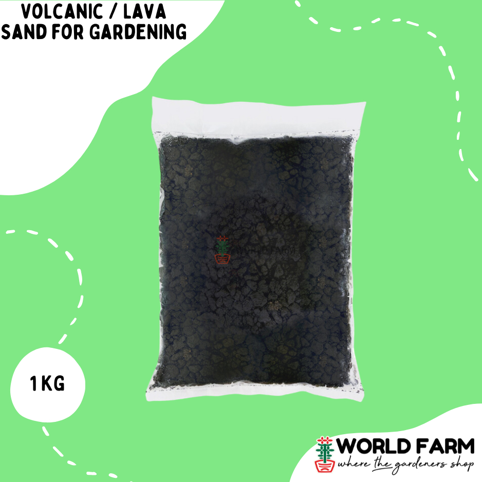 Volcanic / Lava Sand for Gardening, Approx. 1kg | Shopee Singapore