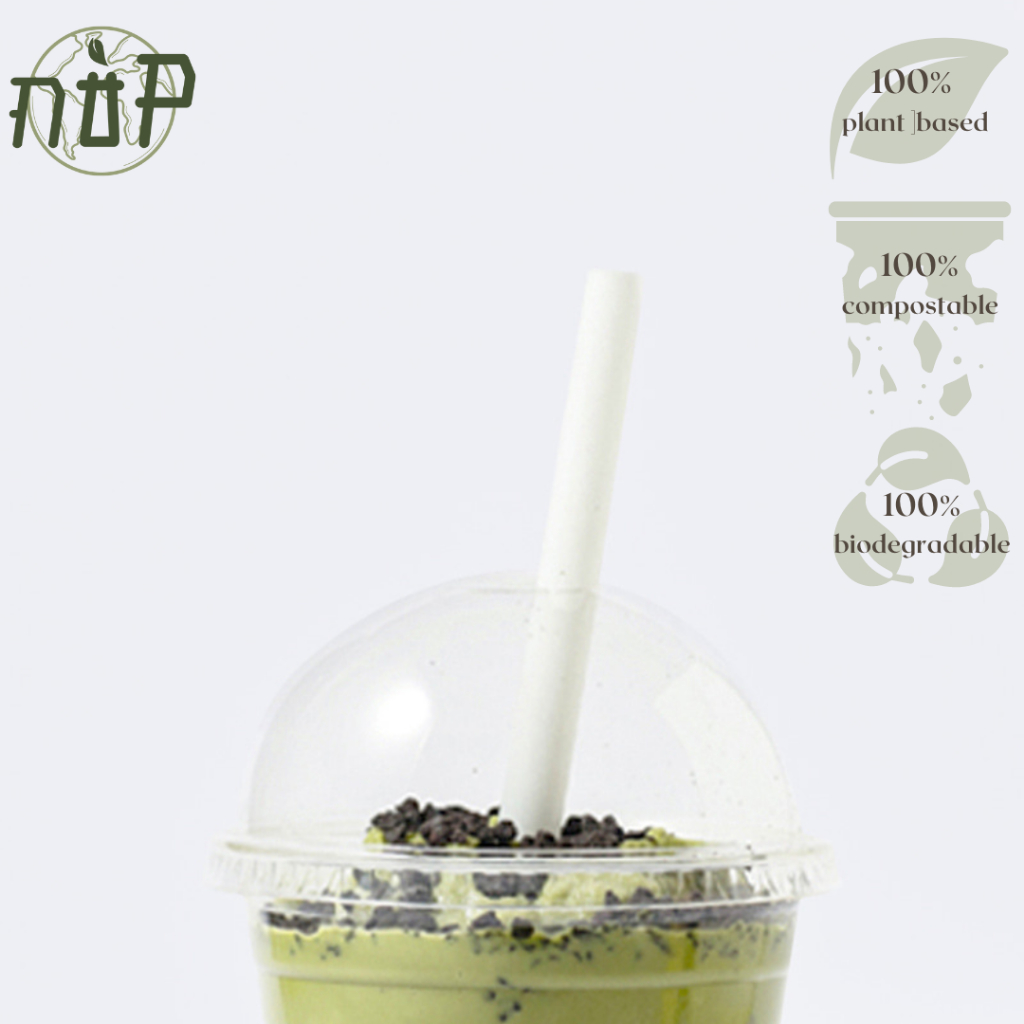 [200pcs] Bio Straws Non-plastic Takeaway Disposable PLA Straws ...