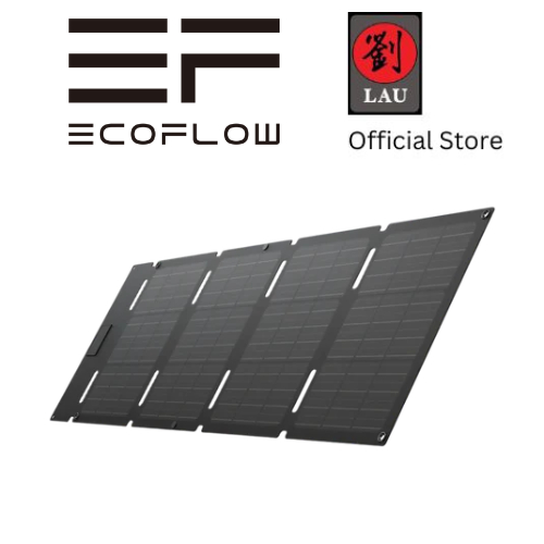 EcoFlow Solar Panel 45W Type-C Cable Portable Power - 2 Years Local ...