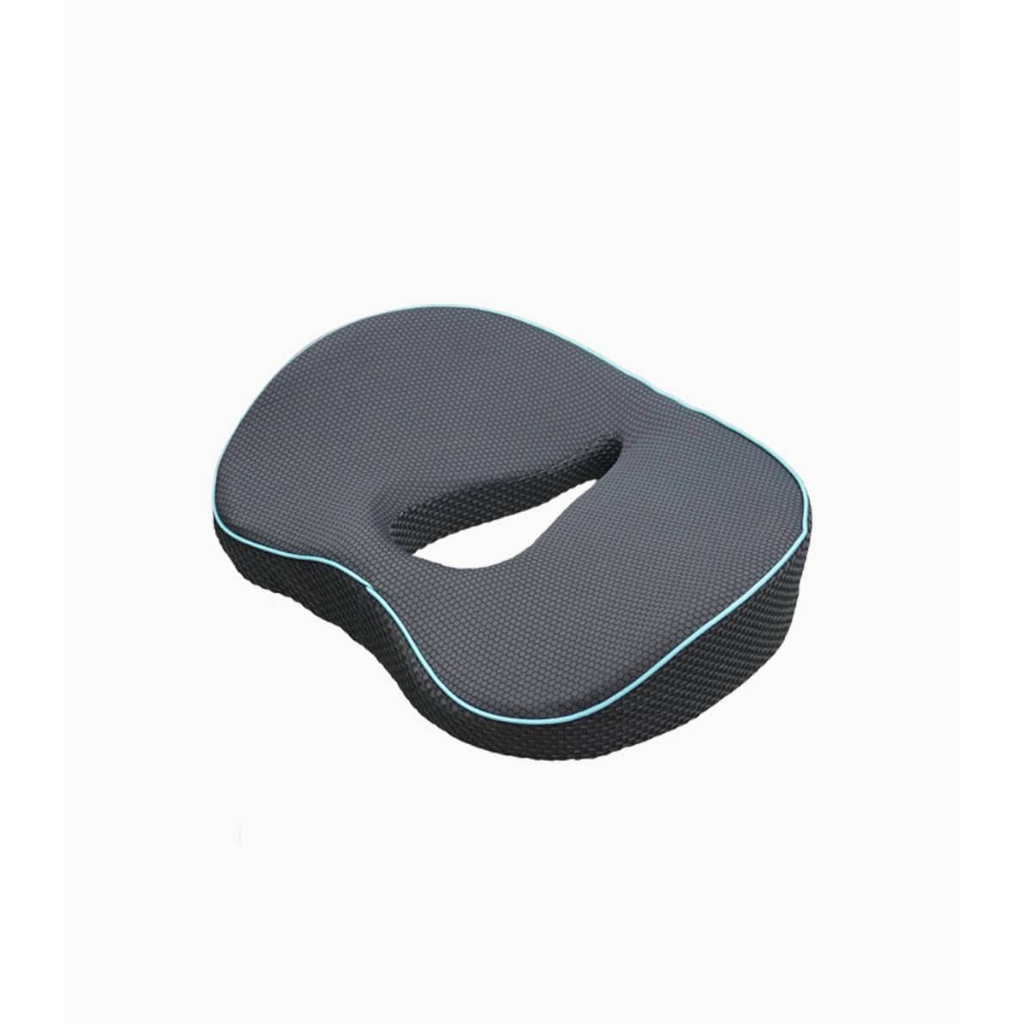 MOBOT SG OFFICIAL | iZest SpineGuard Ergonomic Seat Cushion | Ergonomic ...