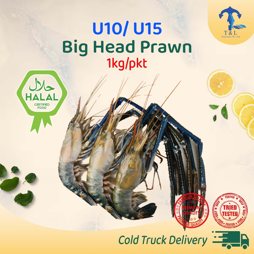 Halal U10/ U15 Big Head Prawn (1kg) | 大头虾 | Shopee Singapore