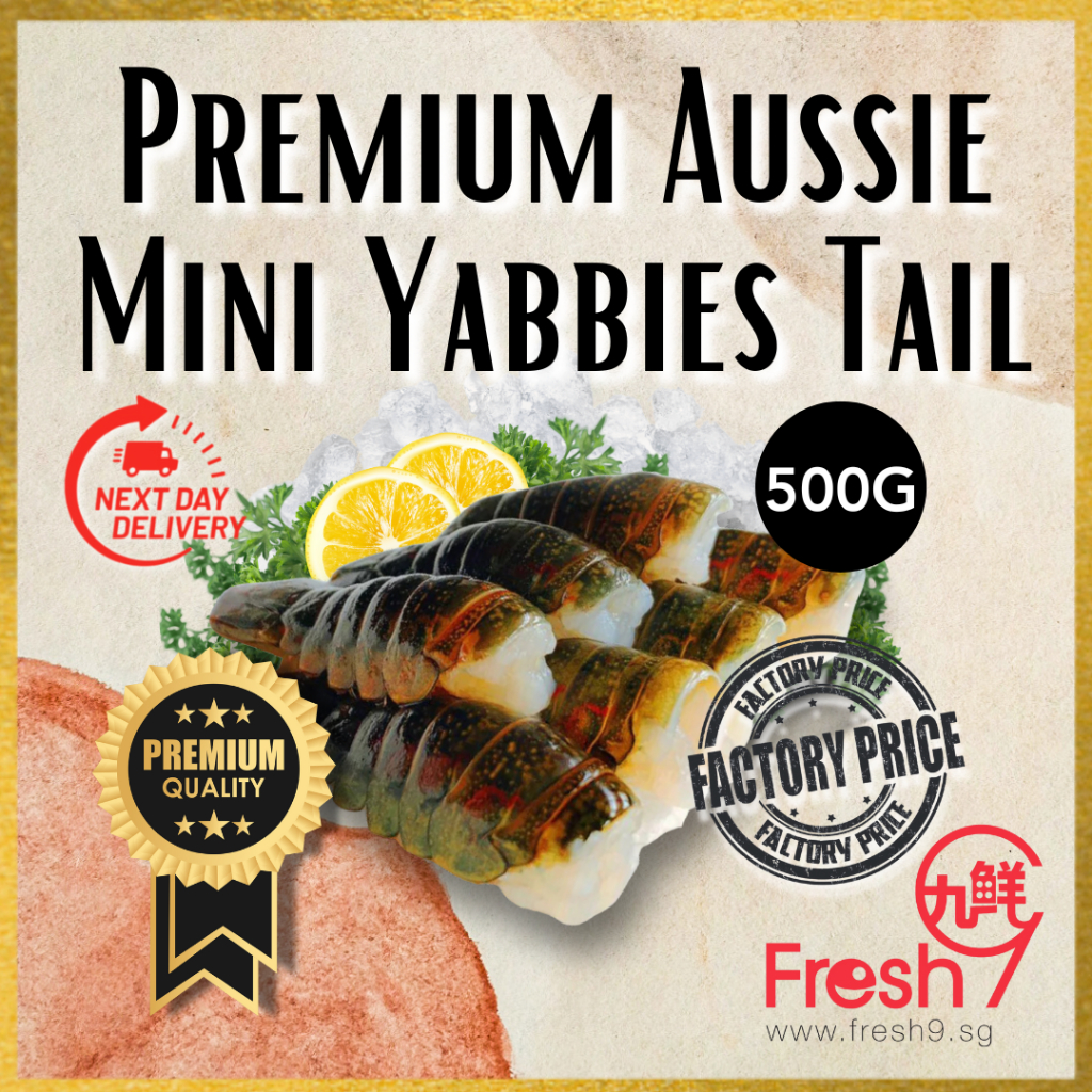 [Fresh9] Premium Australia Mini Lobster Tail Crawfish Yabbies (500g ...