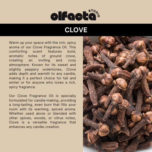 Cloves Fragrance Oil suitable for candle making, soaps and diffusers ...