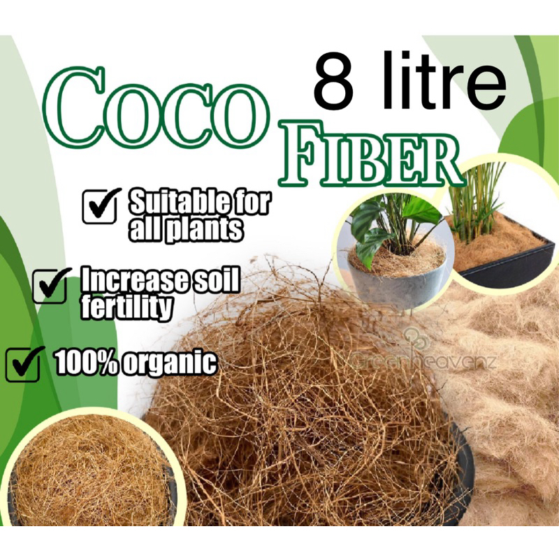 PURE ORGANIC COCONUT FIBER. coc coir COCONUT HUSK coco bedding for ...