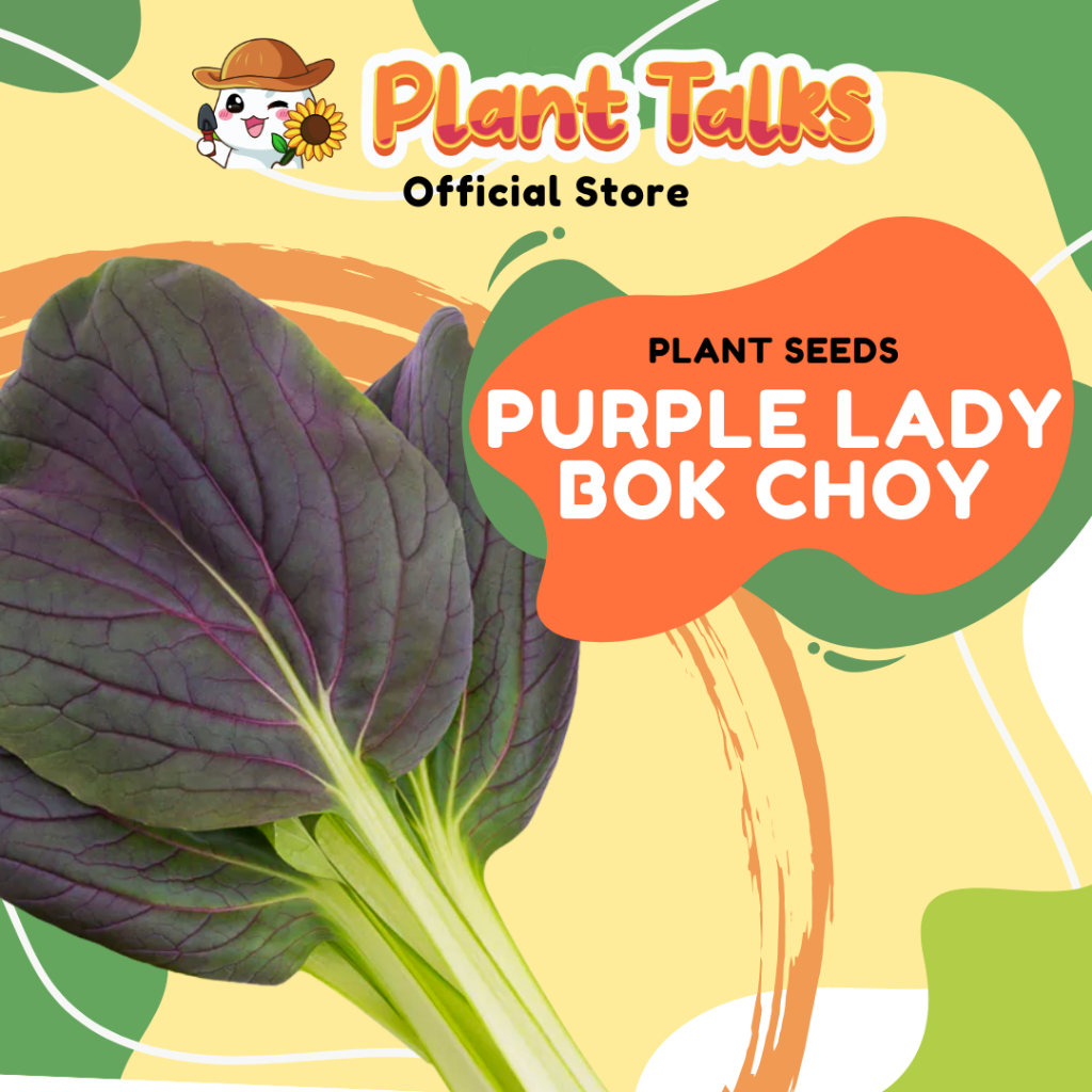Plant Talks Purple Lady Pak Choi Seed / Red Summer Pak Choi Seed / Bok ...