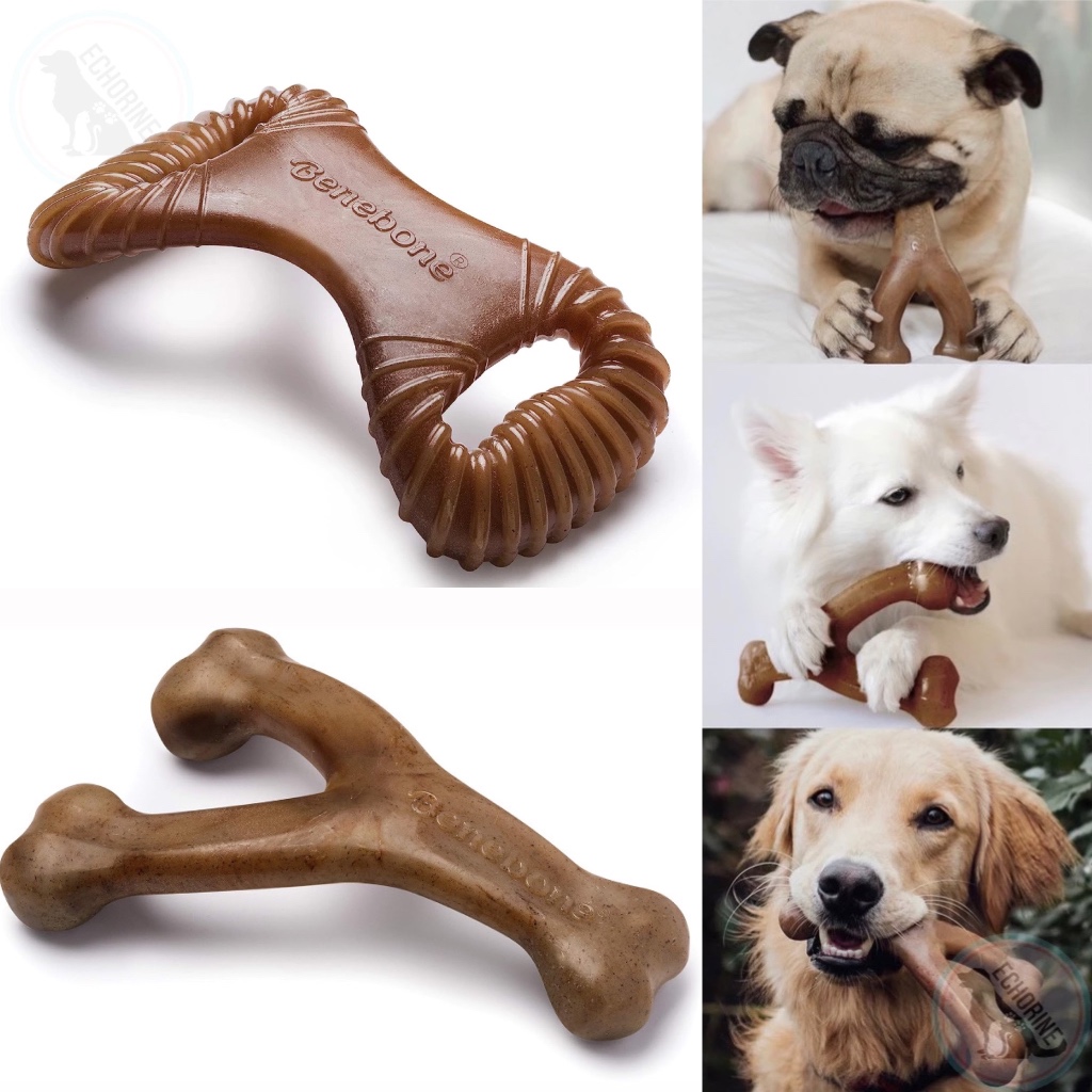 CHEAPEST USA MADE Benebone Wishbone Dental Durable Nylon Chew Dog Toy ...