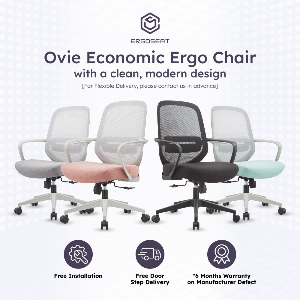 Ergoseat Ovie Ergonomic Home Office Chair Economic Ergo chair with a ...