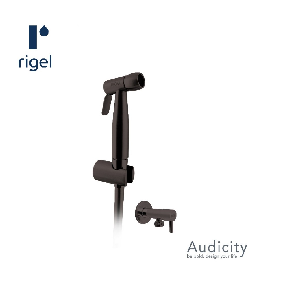 RIGEL Gunmetal Bidet Spray Set (Angle Valve & Bidet Sprayer) - SA8200 ...