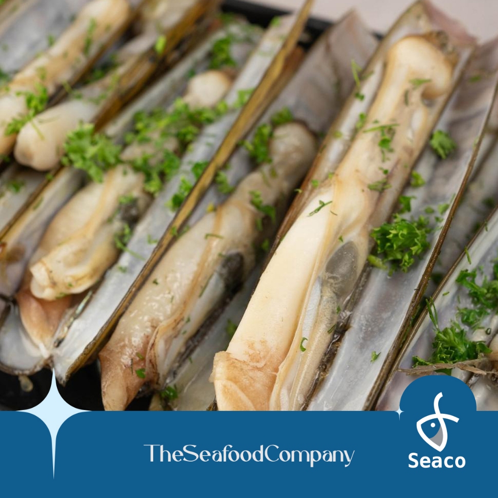 [SEACO] Bamboo Clam 300g | Shopee Singapore