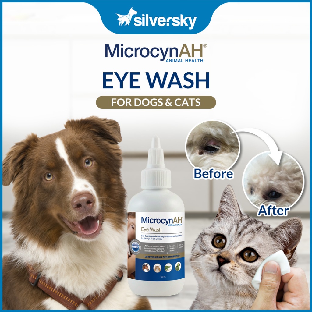 MicrocynAH Eye Wash for Dogs, Cats and all other Animals Species ...