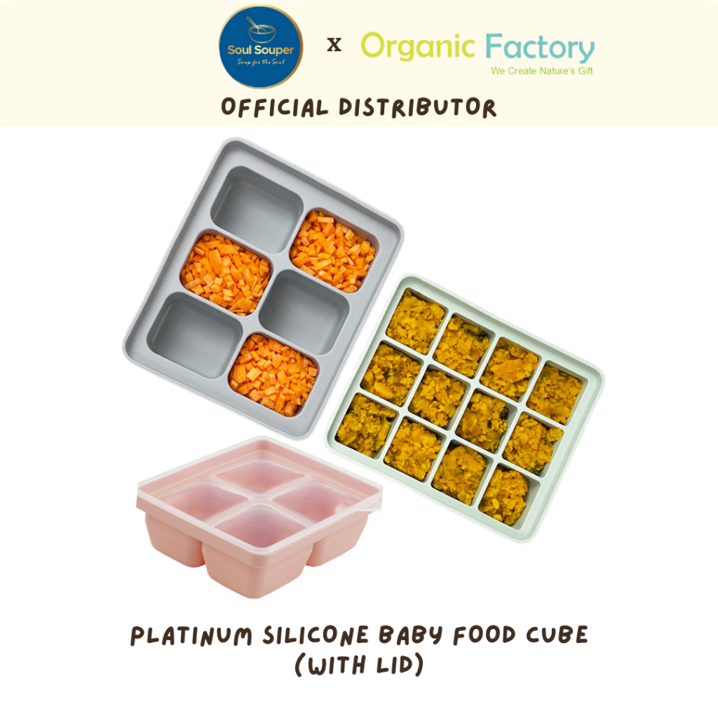 Organic Factory Korea Platinum Silicone Baby Food Cube (4pcs, 6pcs ...