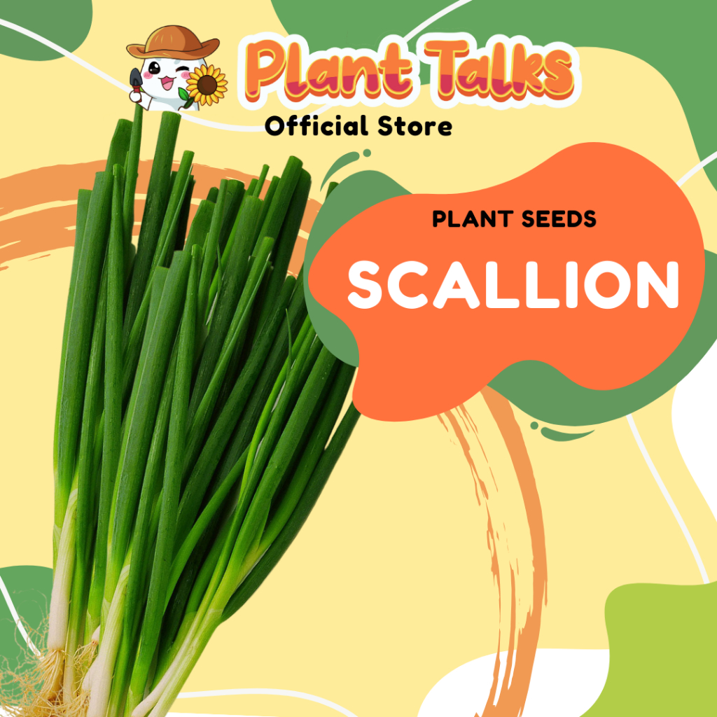 Plant Talks Spring Onion Seeds / Scallion Seeds / Seeds High Quality ...