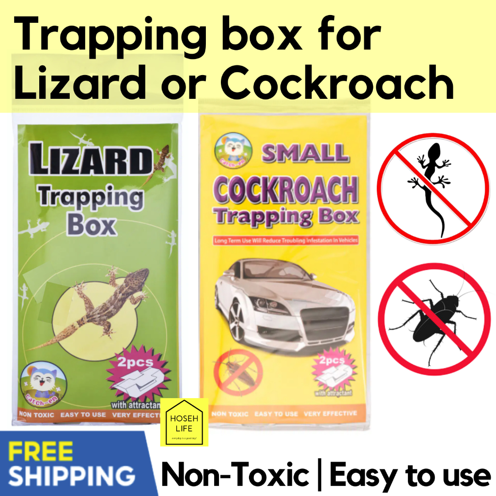 [SG Stock] Trap box for Cockroach or Lizard, Quality pest control Trap ...