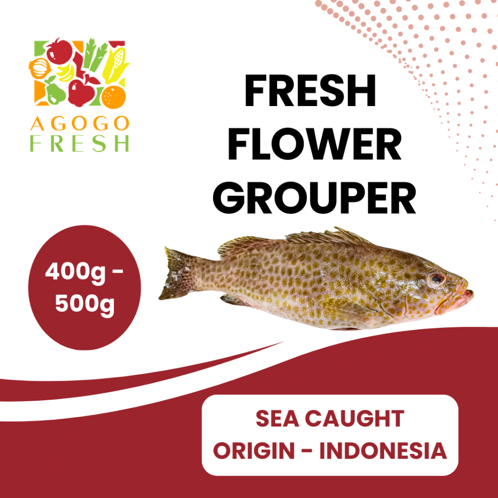 [Agogo Fresh - Fish & Seafood] Fresh Flower Grouper (400g - 500g ...