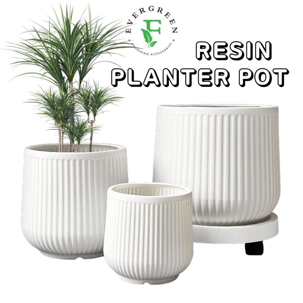 【SG Evergreen】Resin White Plant Pot with Drainage Hole & Tray ...