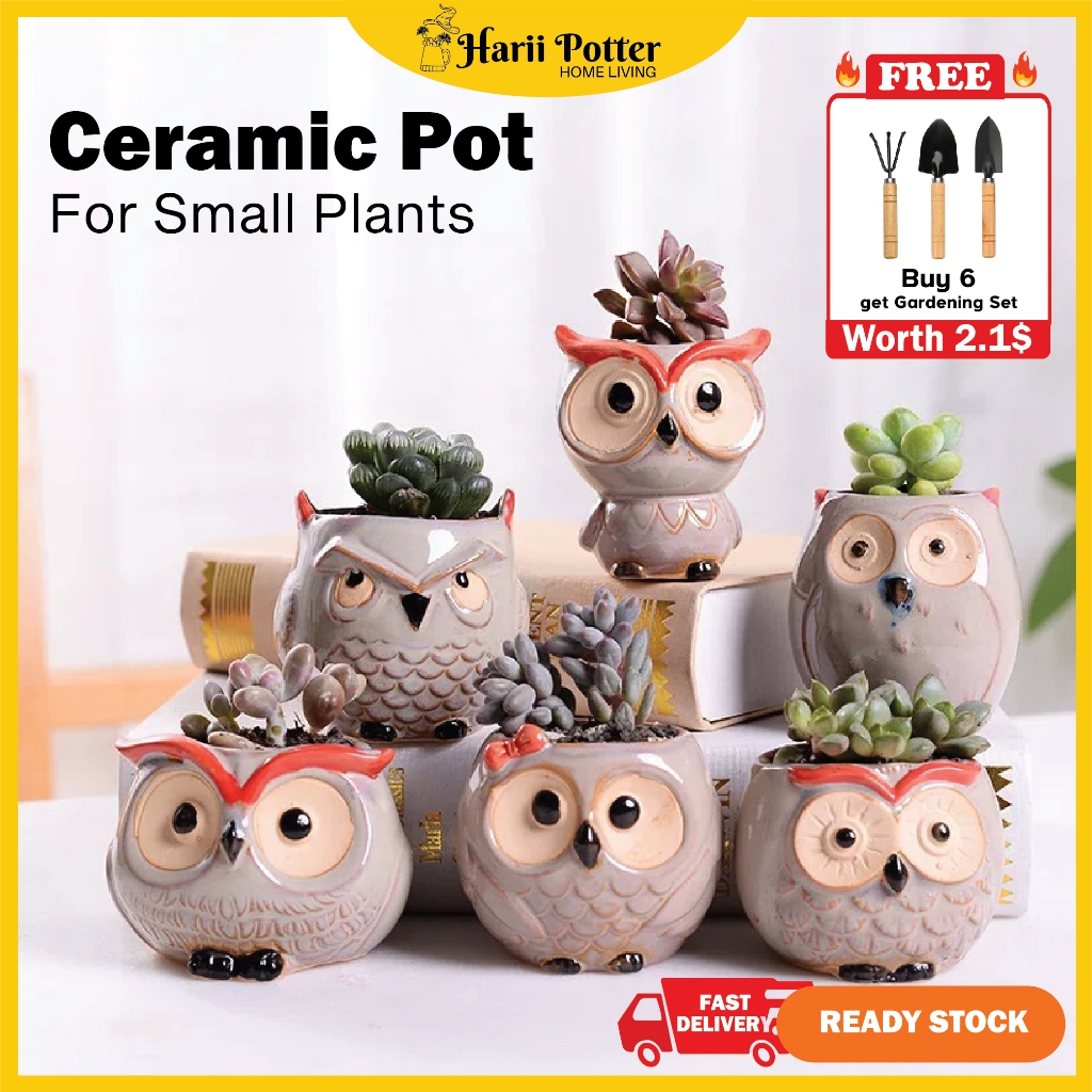 Owl Ceramic Pot For Plant Cactus Pot Succulent Pot Small Flower Pot ...