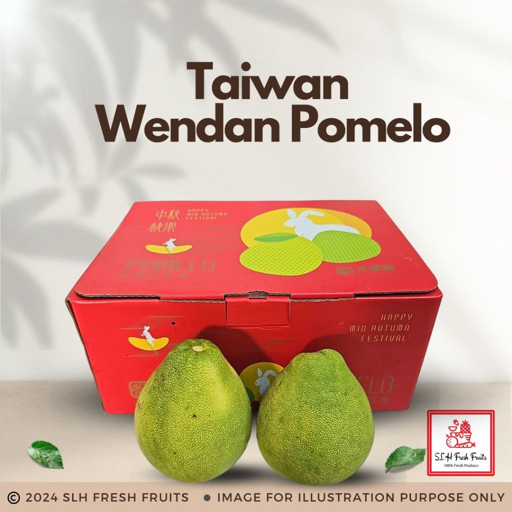 SLH Taiwan Wendan Pomelo Carton Sale (3kg) | Shopee Singapore