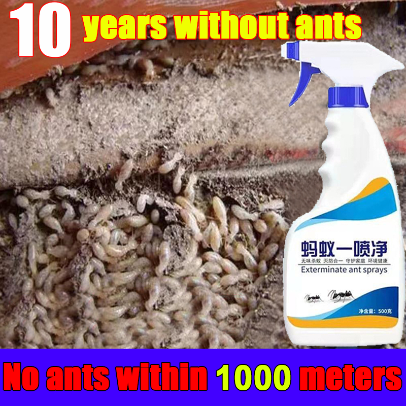🔥Whole Nest Kill🔥Ant Killer Anti-Ant Spray 500G The killing rate of ...