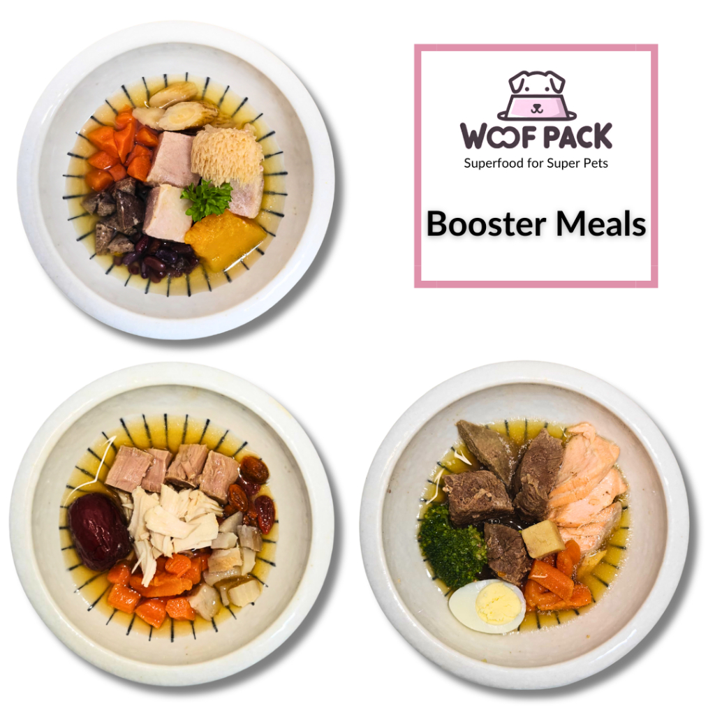 Woof Pack Gourmet Stew Booster Meals | Superfood | 100% Human-Grade ...