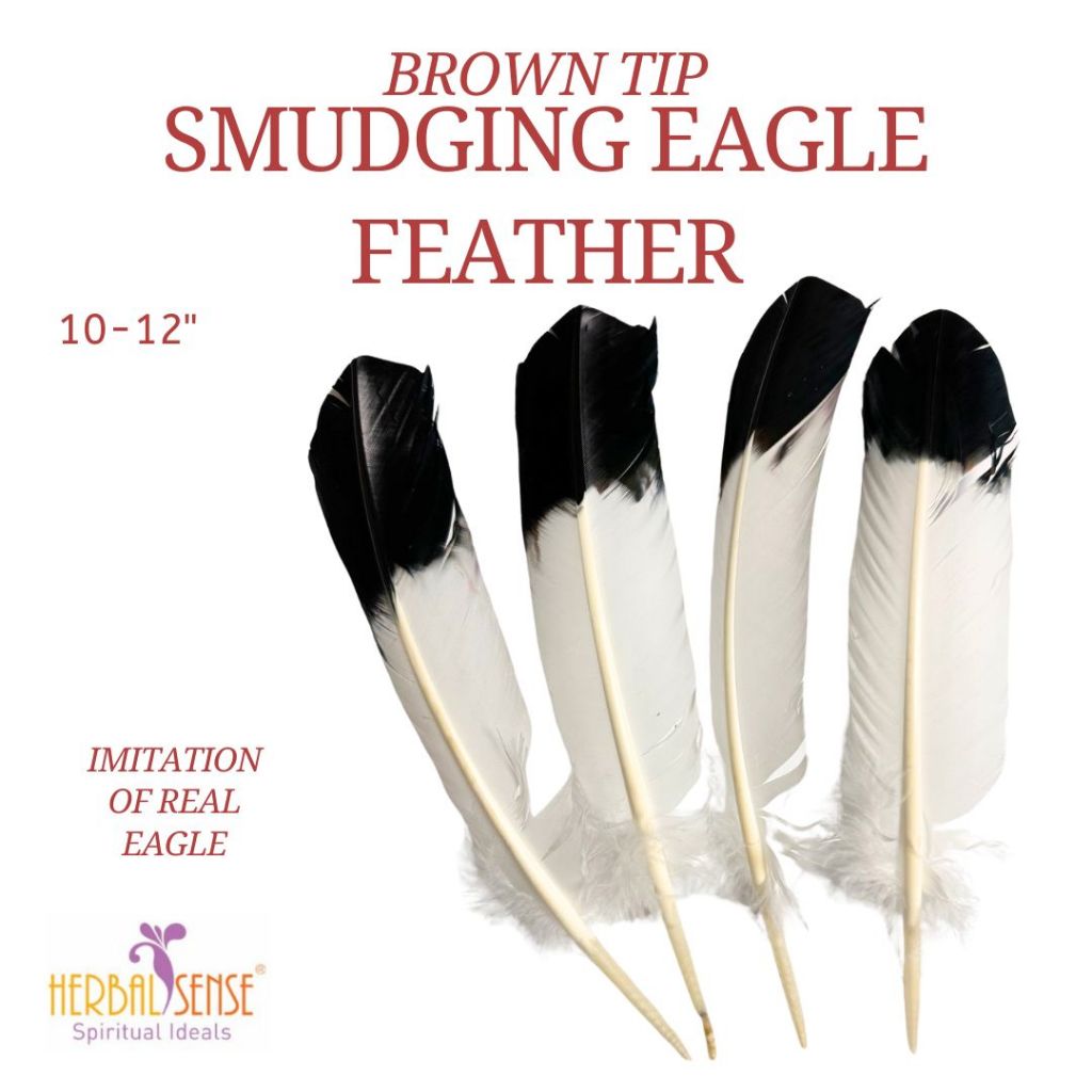 SI Brown Tip - Smudging Eagle Feather 10-12" Imitation Of Real Eagle Feather Use for Smudging ...