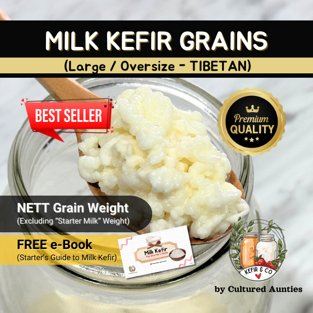 [KEFIRCO] Active Milk Kefir Grains (Large/Oversize - Tibetan) | Shopee ...