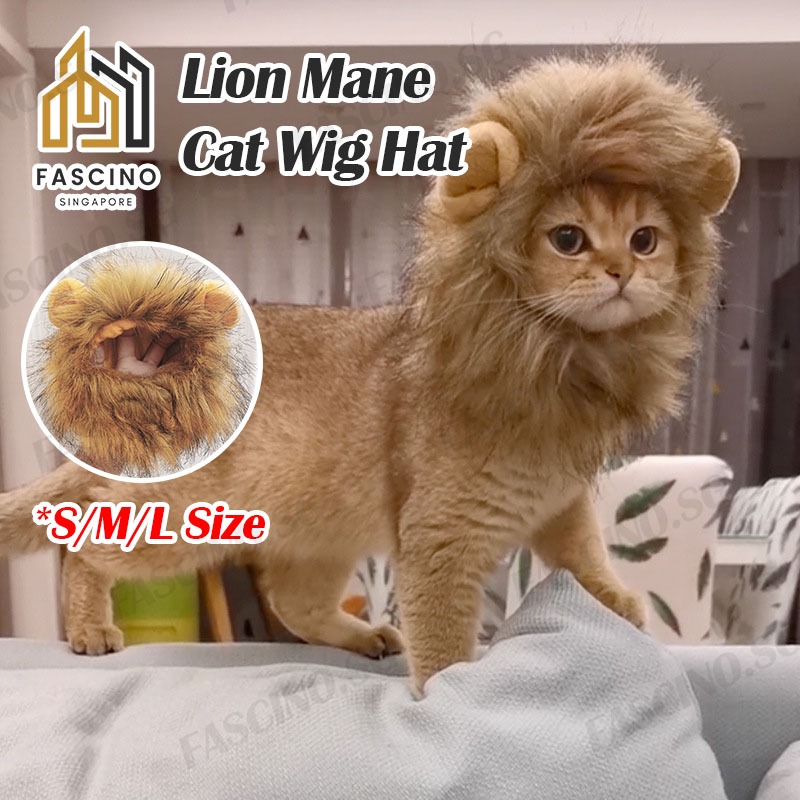 【SG】S/M/L Size Cat Lion Wig Cat Hat Cosplay Cat Clothes Costume for ...