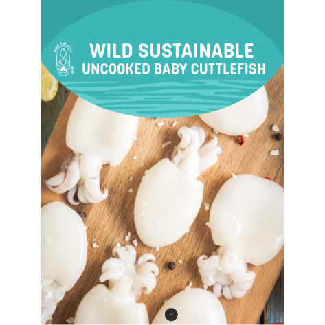 Wild Uncooked Mini Cuttlefish (Malaysia) | Shopee Singapore